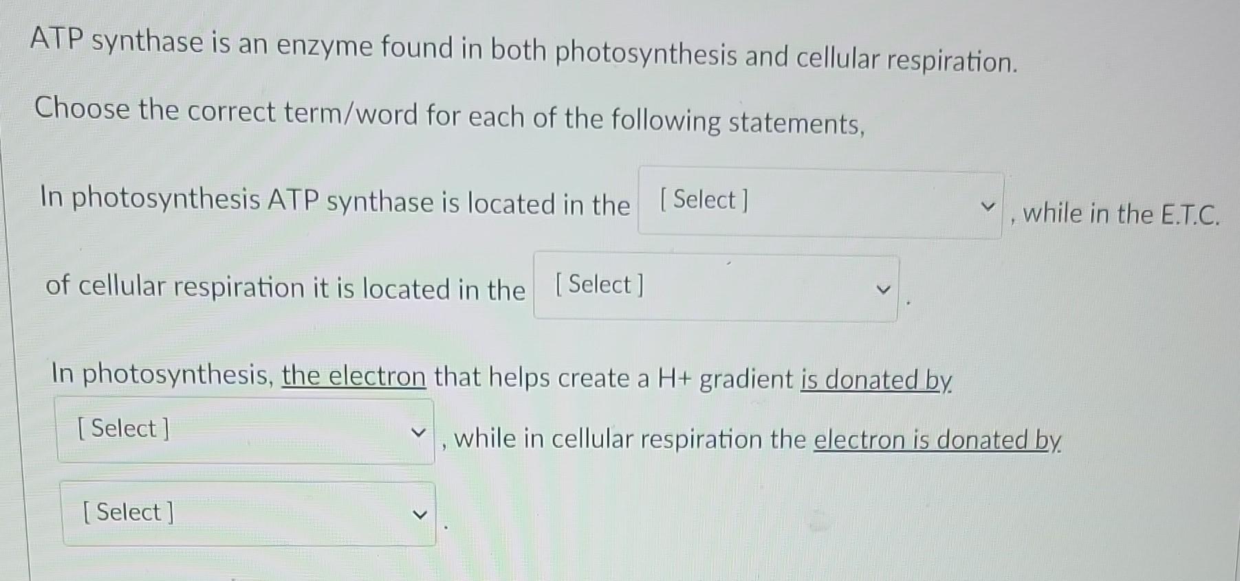 Solved ATP synthase is an enzyme found in both | Chegg.com