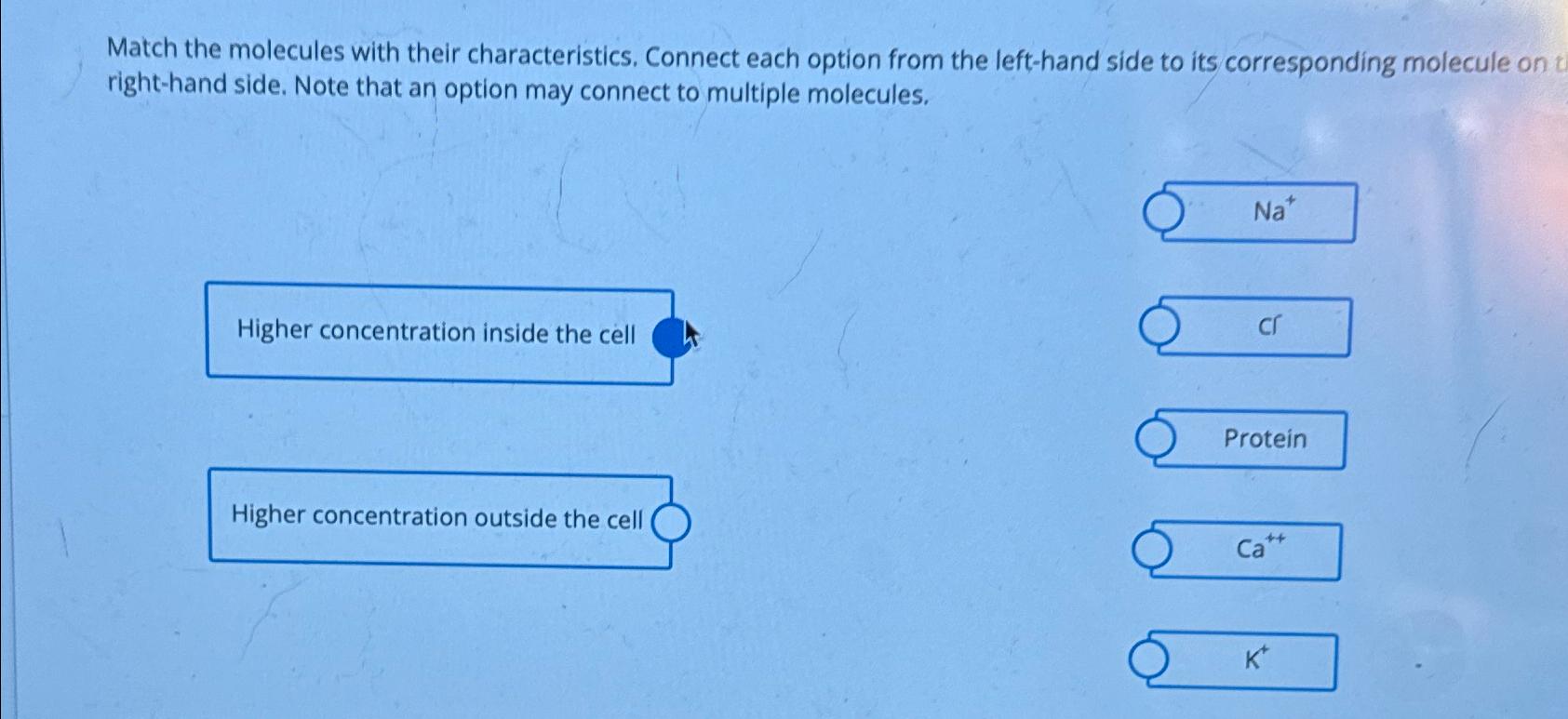 Solved Match the molecules with their characteristics. | Chegg.com