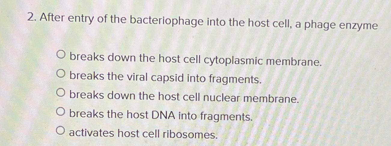 Solved After entry of the bacteriophage into the host cell, | Chegg.com