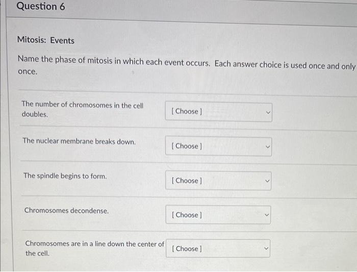 Solved Mitosis; Sequence of Stages Number the names of the | Chegg.com