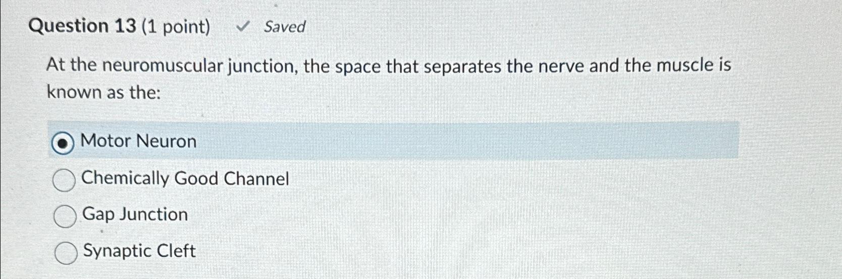 Solved Question 13 (1 ﻿point) ﻿SavedAt the neuromuscular | Chegg.com