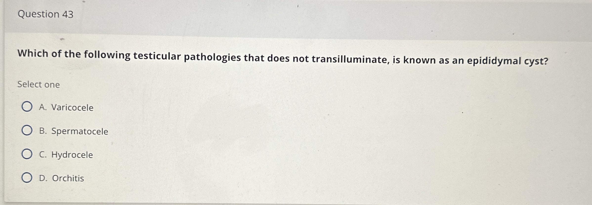 Question 43Which of the following testicular | Chegg.com