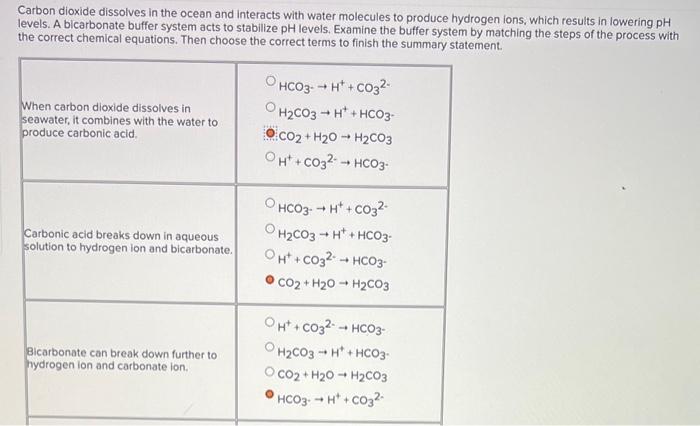 Solved Carbon dioxide dissolves in the ocean and interacts | Chegg.com