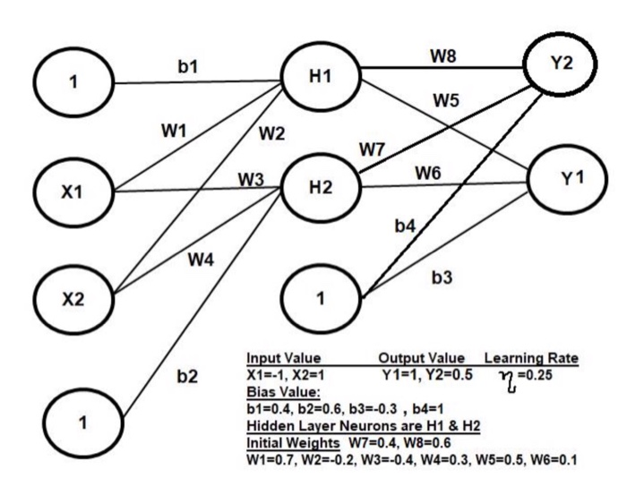 Solved Find the updated weight value of W1 through back | Chegg.com