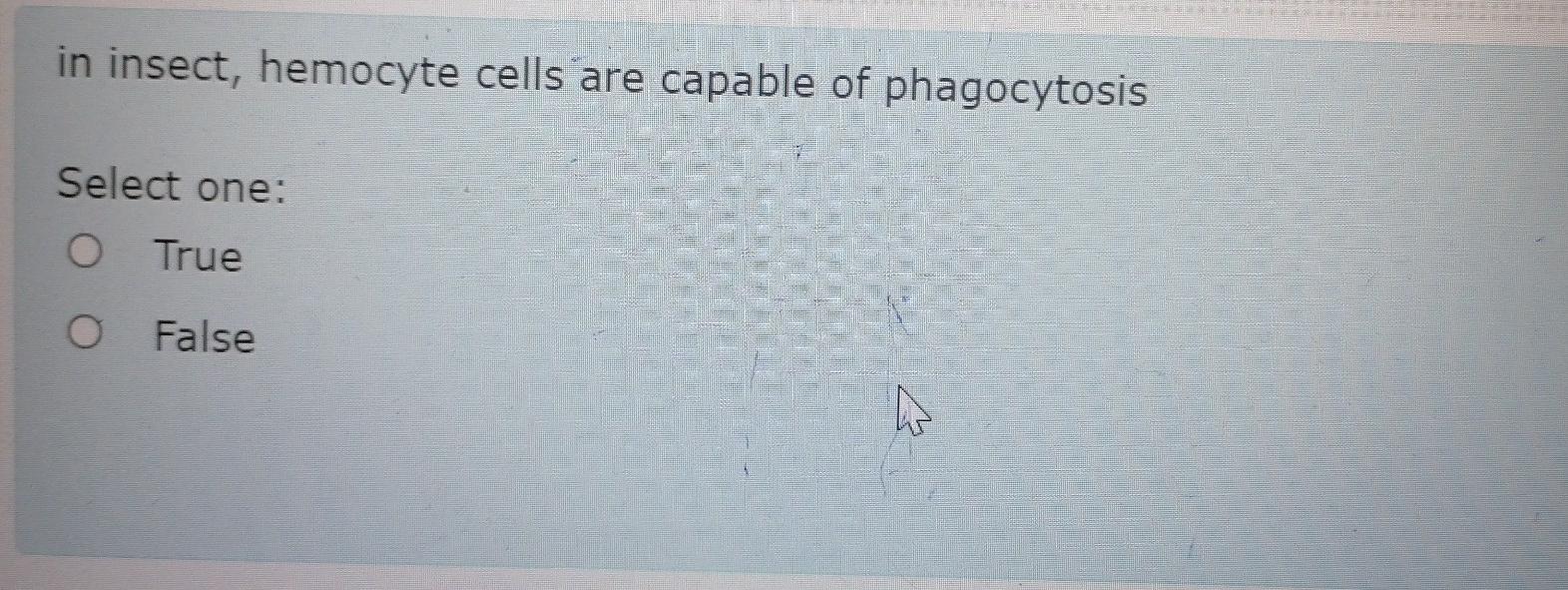 Solved in insect, hemocyte cells are capable of phagocytosis | Chegg.com