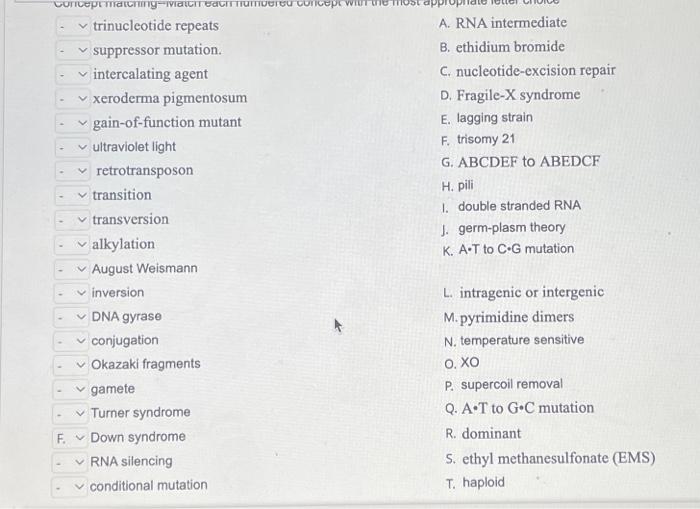 please help!! | Chegg.com