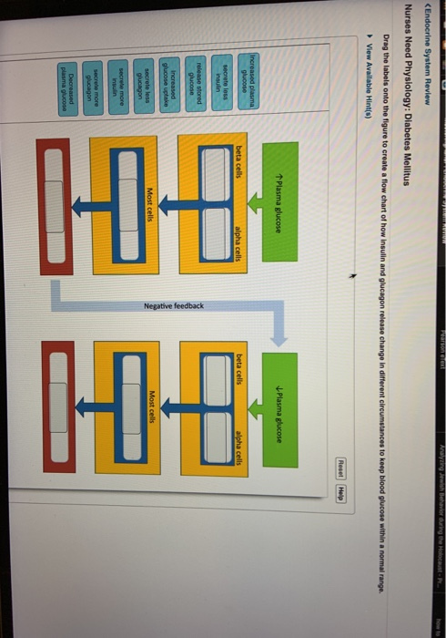 Solved CNN Arayang Jawi Behavior during the Holoca | Chegg.com