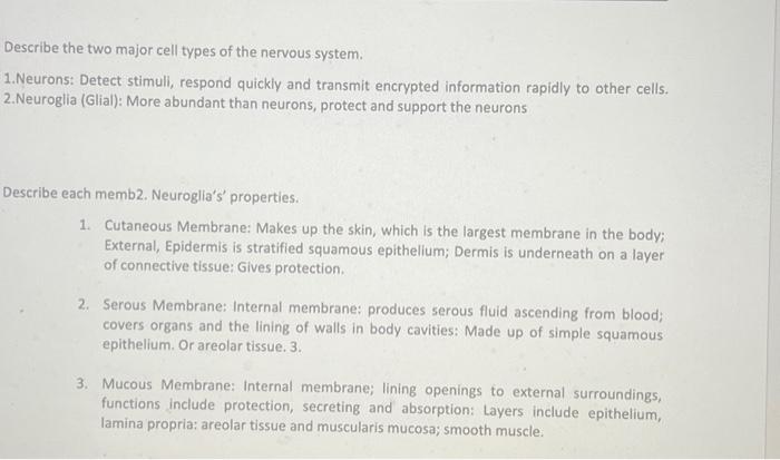 Solved Describe the two major cell types of the nervous | Chegg.com