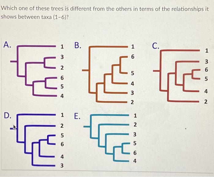 Solved Which one of these trees is different from the others | Chegg.com