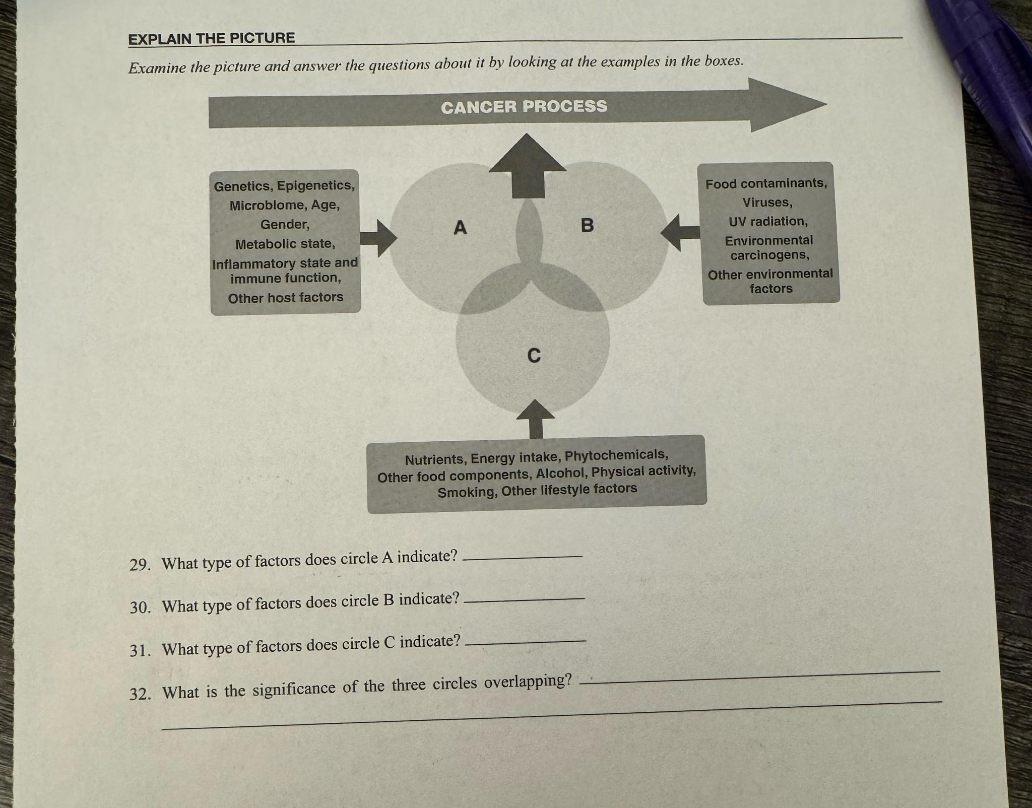 Solved EXPLAIN THE PICTUREExamine the picture and answer the | Chegg.com