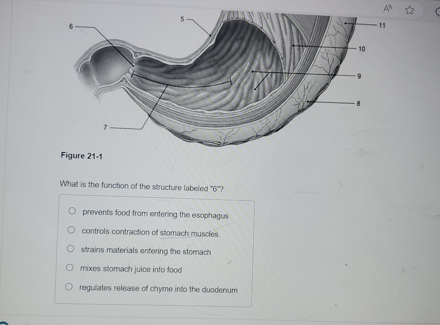 Solved Figure 21-1What is the function of the structure | Chegg.com