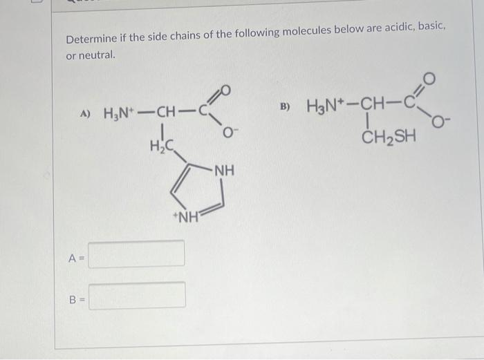 Solved Determine if the side chains of the following | Chegg.com