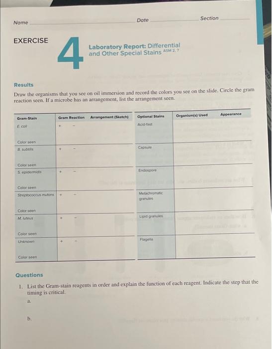 Solved Date Section Name EXERCISE 4 Laboratory Report: | Chegg.com