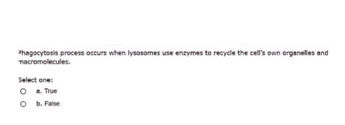 Solved Phagocytosis process occurs when lysosomes use | Chegg.com