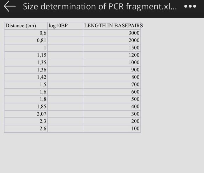 Solved ⇐ Size determination of PCR fragment.xI... | Chegg.com