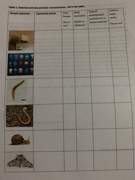 Solved Table 1. Selected animals and their characteristics. | Chegg.com