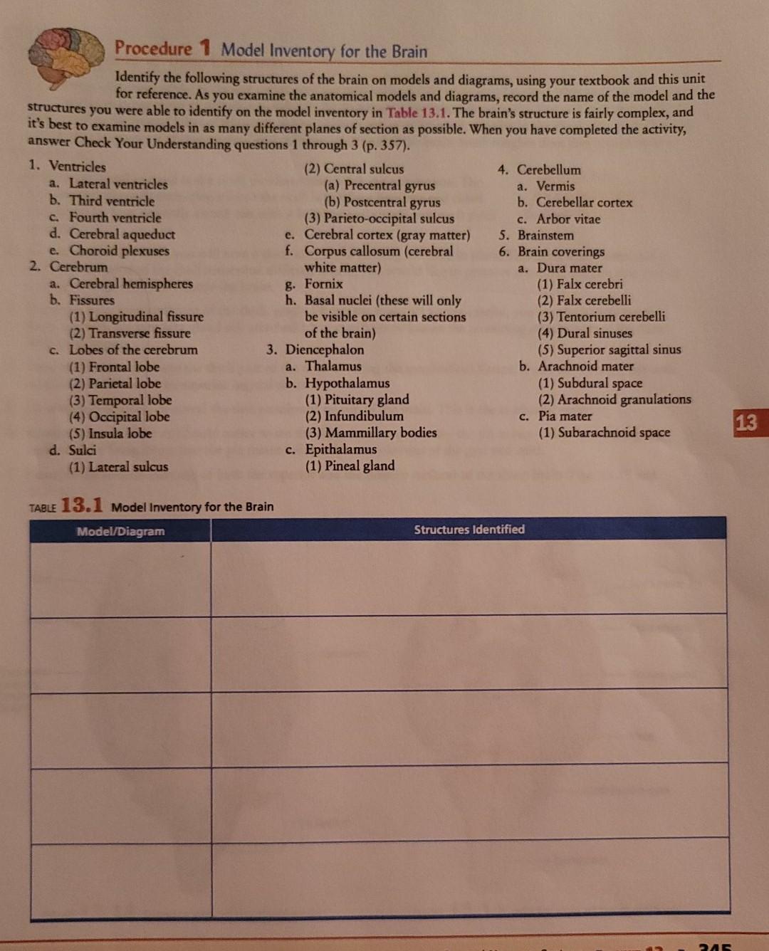 Procedure 1 Model Inventory for the Brain Identify | Chegg.com