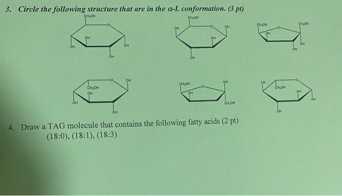 Solved Circle the following structure that are in the α−L | Chegg.com