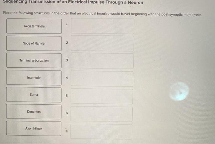 Solved Sequencing Transmission of an Electrical Impulse | Chegg.com