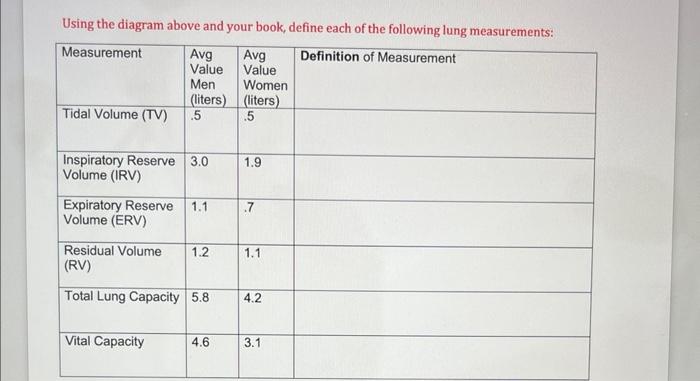 Solved Part 3: Lung Volumes and Pulmonary Testing: Lung | Chegg.com