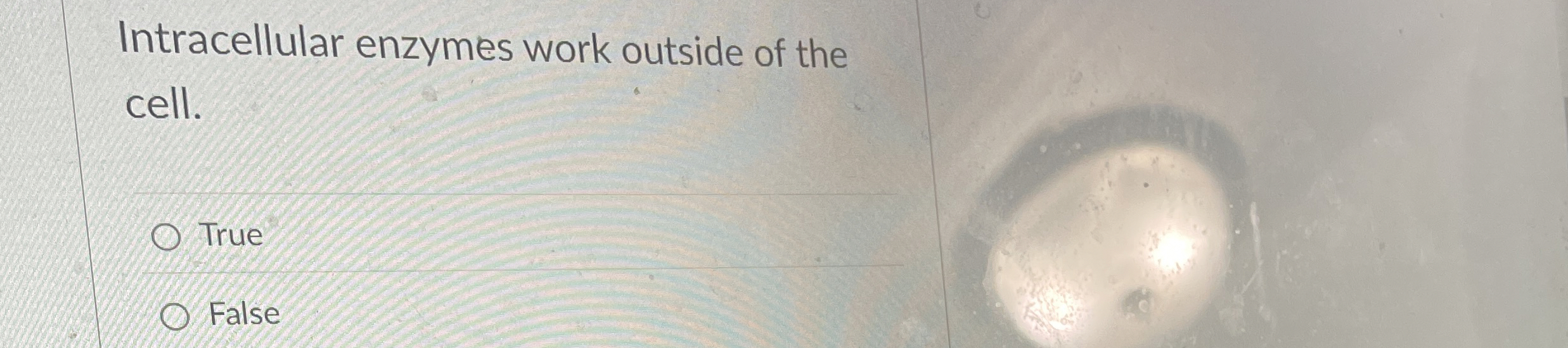 Solved Intracellular enzymes work outside of the | Chegg.com