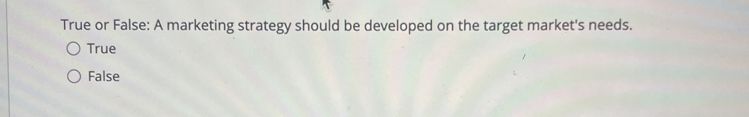 Solved True or False: A marketing strategy should be | Chegg.com