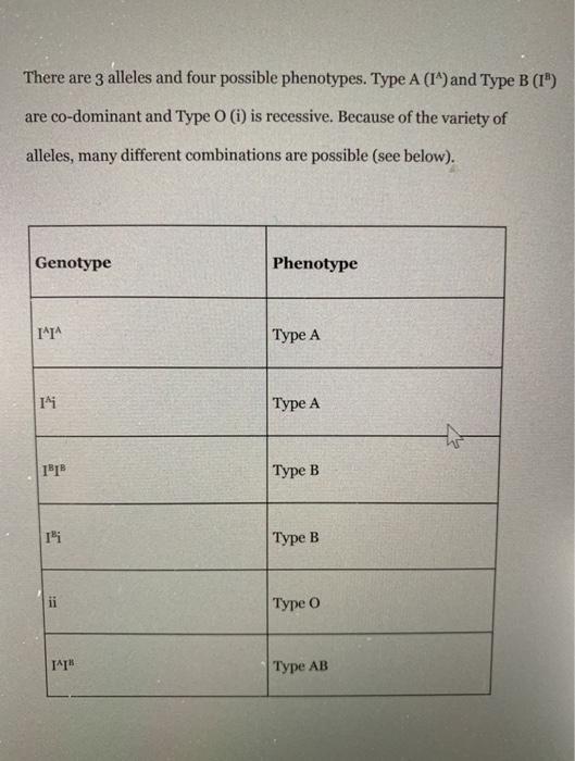 Solved Genotype Description Phenotype BB Brown/Dark | Chegg.com