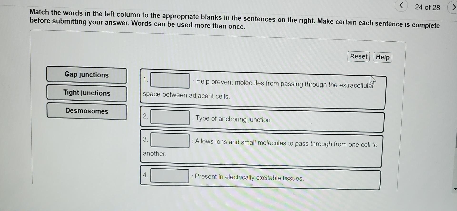 Solved 24 ﻿of 28Match the words in the left column to the | Chegg.com
