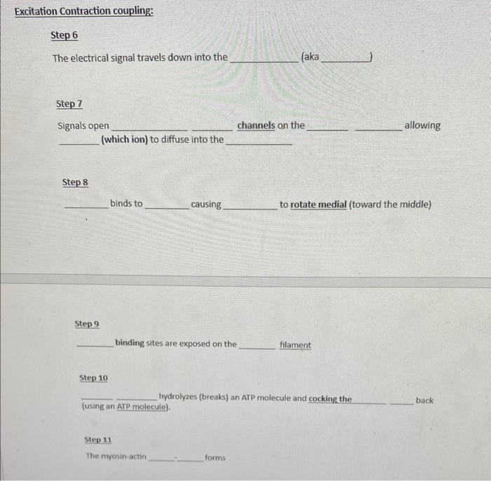Solved Step 7 Signals open channels on the allowing (which | Chegg.com