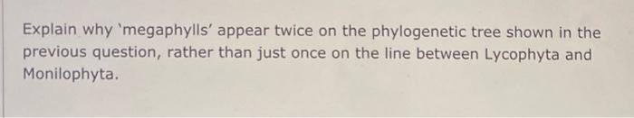 Solved The C-fern belongs to the Phylum Monilophyta. The | Chegg.com