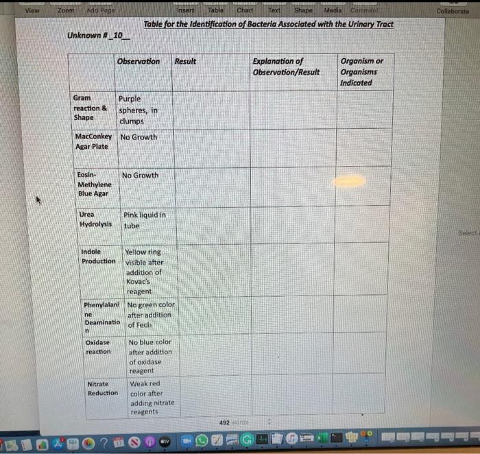 Solved View Zoom Add Page Collaborata Insert Table Chart | Chegg.com