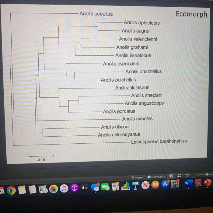 Solved 1. Use the list of lizard species in the table below, | Chegg.com