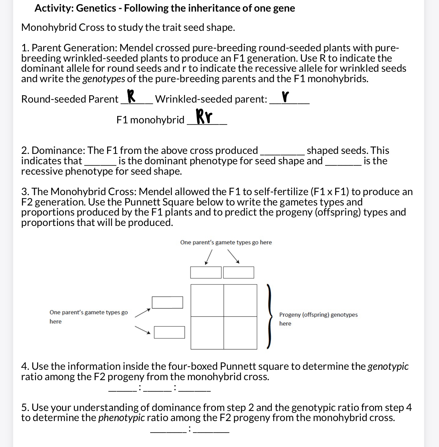 Solved Activity: Genetics - ﻿Following the inheritance of | Chegg.com