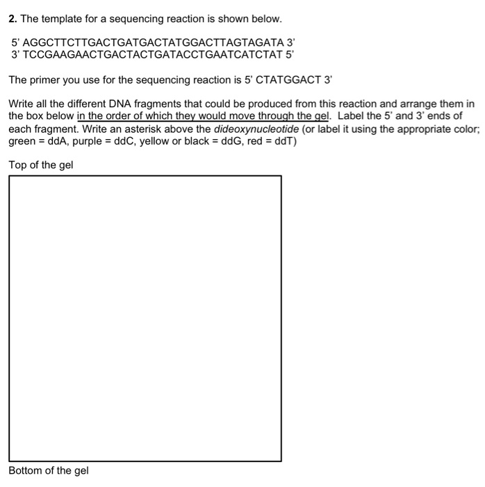 2. The template for a sequencing reaction is shown | Chegg.com
