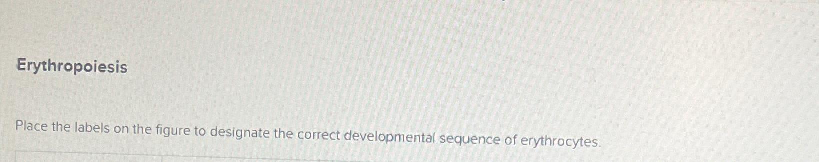 Solved ErythropoiesisPlace the labels on the figure to | Chegg.com