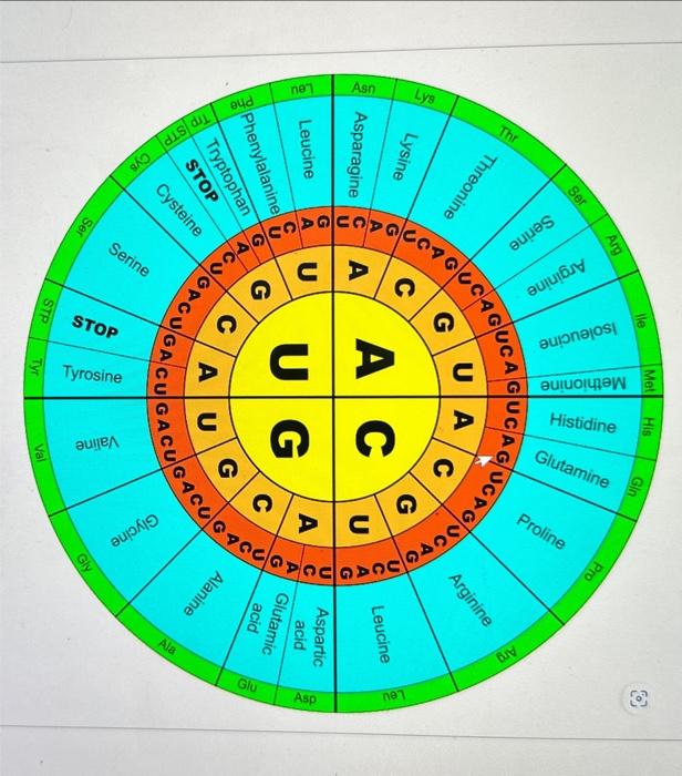 Solved Use The Sequence Sequence Direction 5′→3′ And