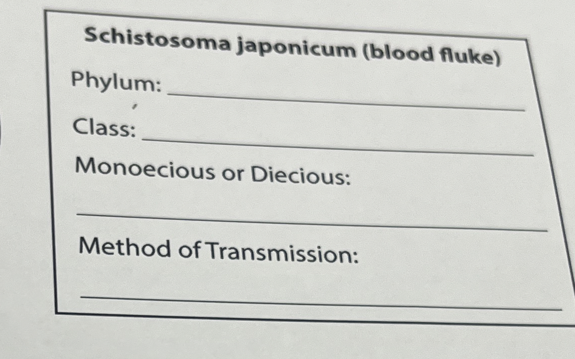 Solved Schistosoma japonicum (blood fluke)Phylum: | Chegg.com