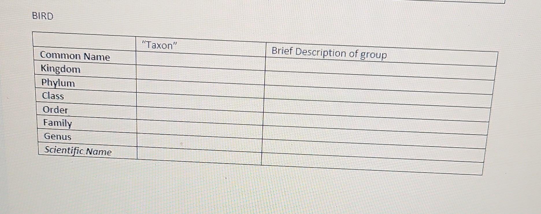 Solved EXAMPLE: MAMMAL INSECT BIRD REPTILE | Chegg.com