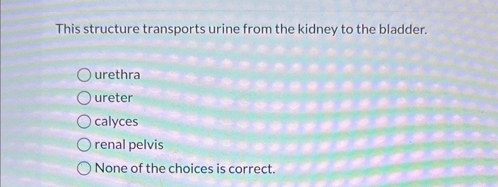 Solved This structure transports urine from the kidney to | Chegg.com