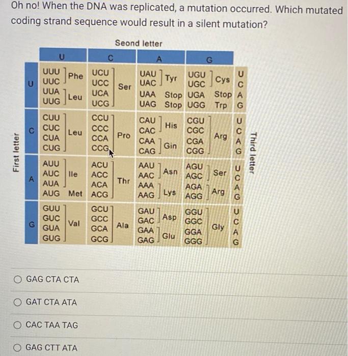 Solved Oh no! When the DNA was replicated, a mutation | Chegg.com