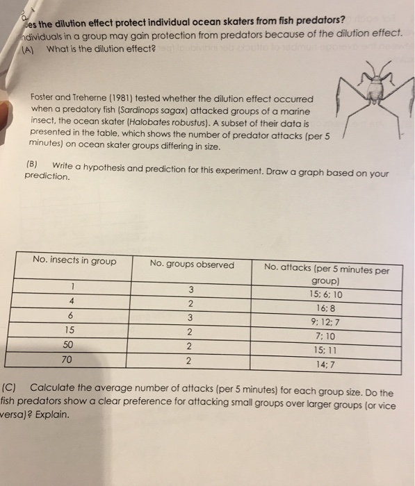Solved Des the dilution effect protect individ ual ocean | Chegg.com