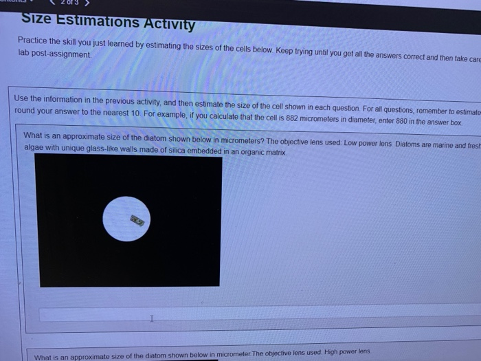 Size Estimations Activity Practice the skill you just | Chegg.com