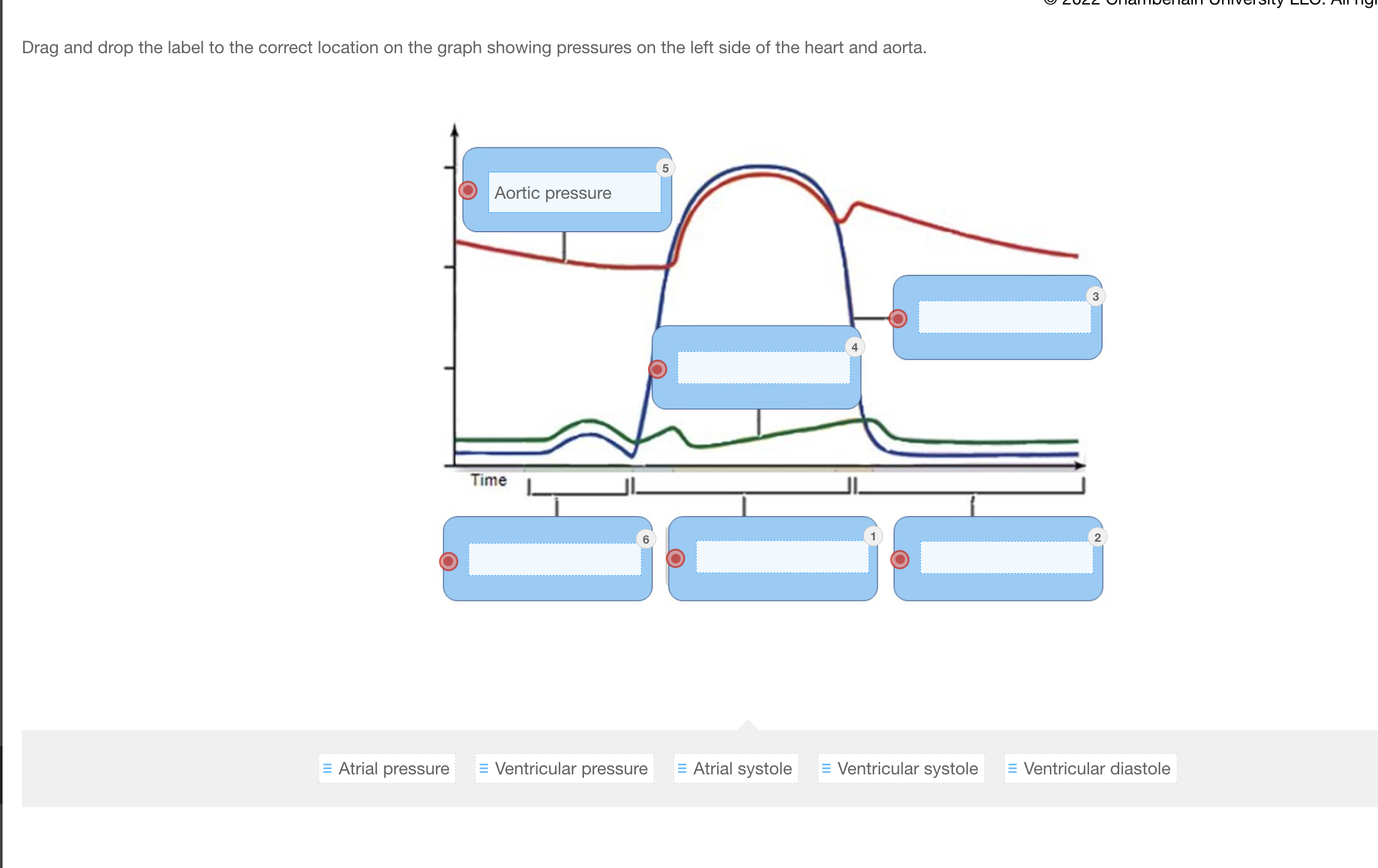 Solved Drag and drop the label to the correct location on | Chegg.com