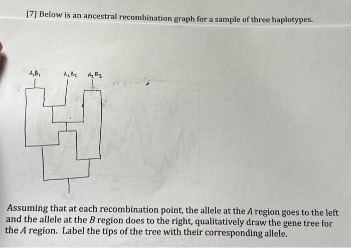 Solved [7] Below is an ancestral recombination graph for a | Chegg.com