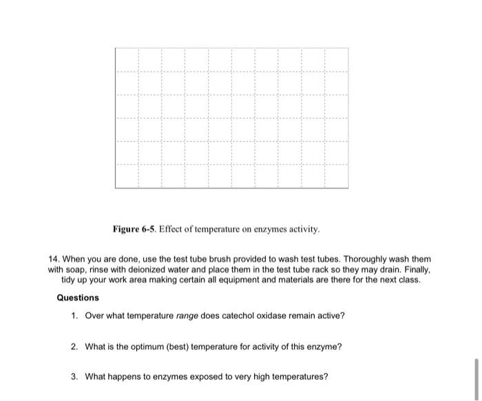 Solved III. EFFECT OF TEMPERATURE ON ENZYME ACTIVITY The | Chegg.com