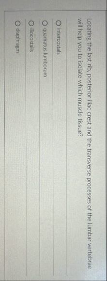 Solved Locating the last rib, posterior iliac crest and the | Chegg.com