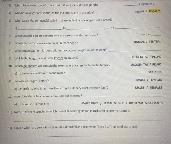 Solved 3) Which folds cover the vestibular bulbs & greater | Chegg.com