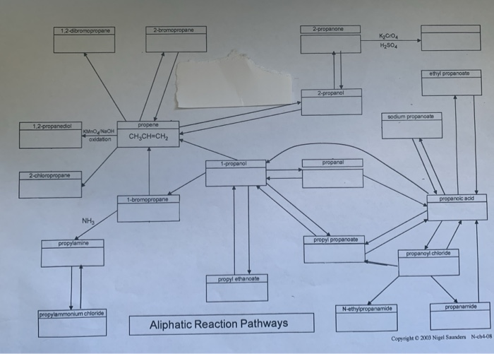 Solved Activity #12.1 Reaction Pathways (20 pts) This | Chegg.com