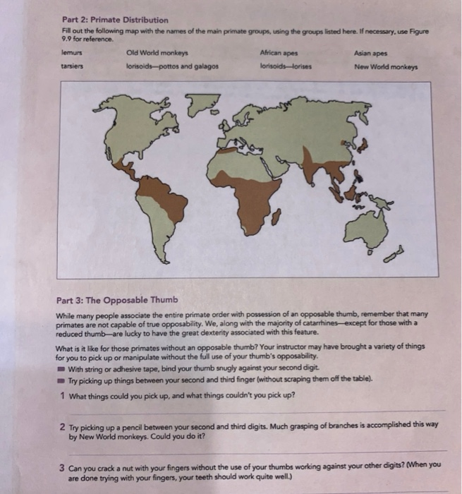 Solved Part 2: Primate Distribution Fill out the following | Chegg.com
