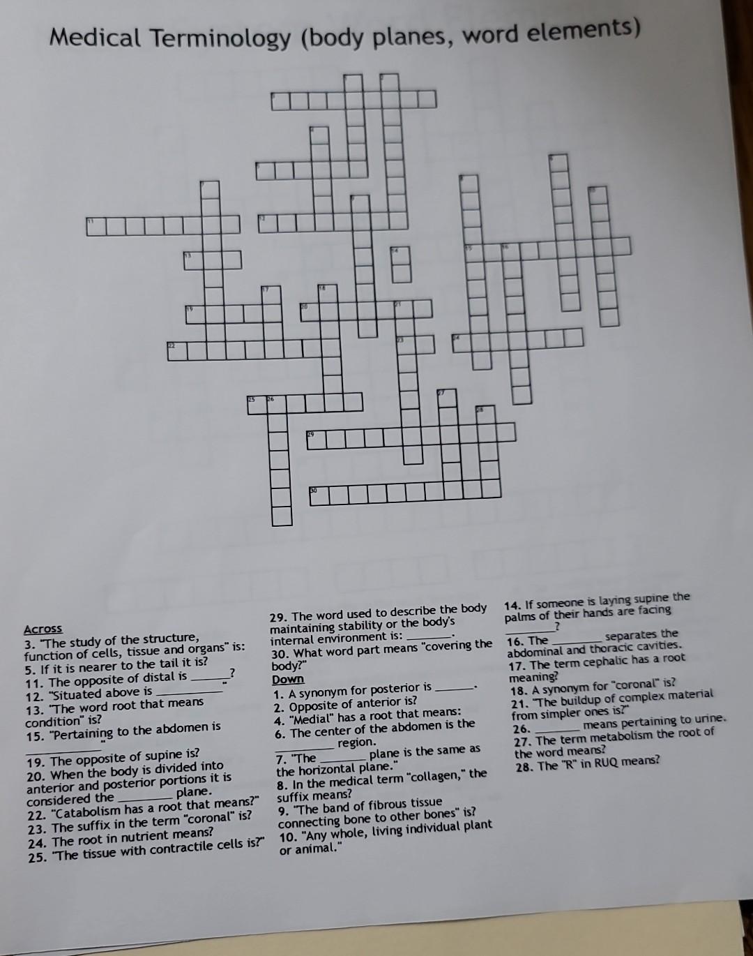 Solved Medical Terminology (body planes, word elements) | Chegg.com